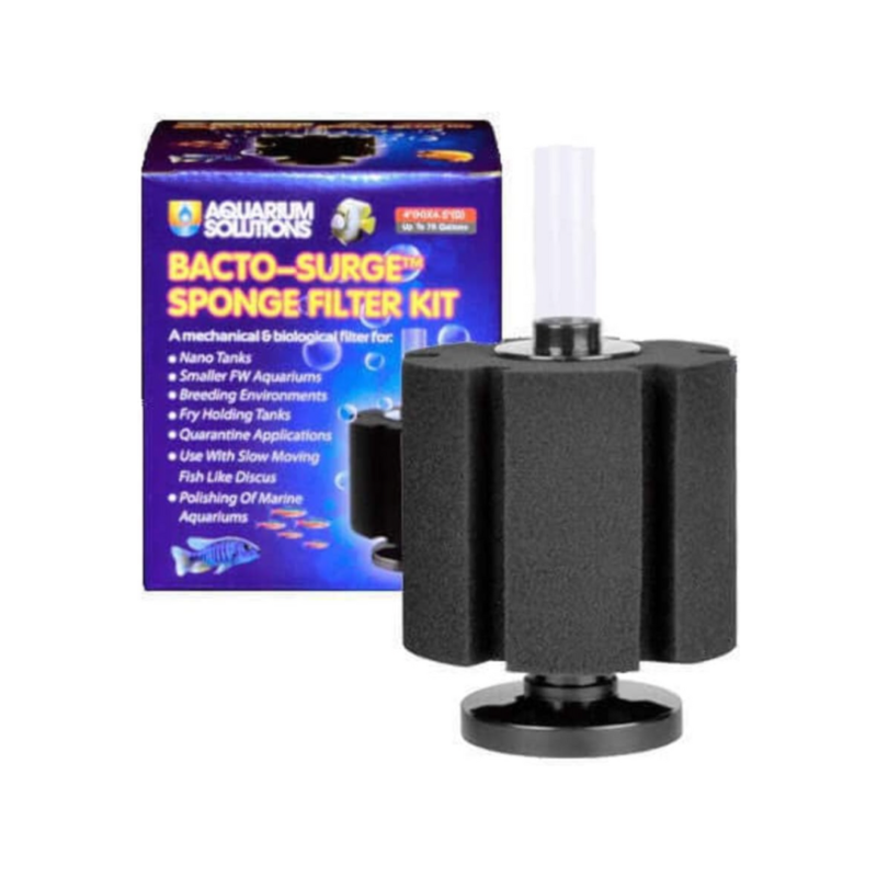 Sponge Filter For Axolotl Aquarium - Axolotl Planet